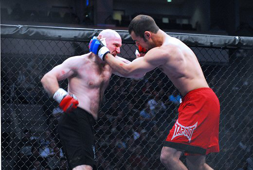 Fighters II
